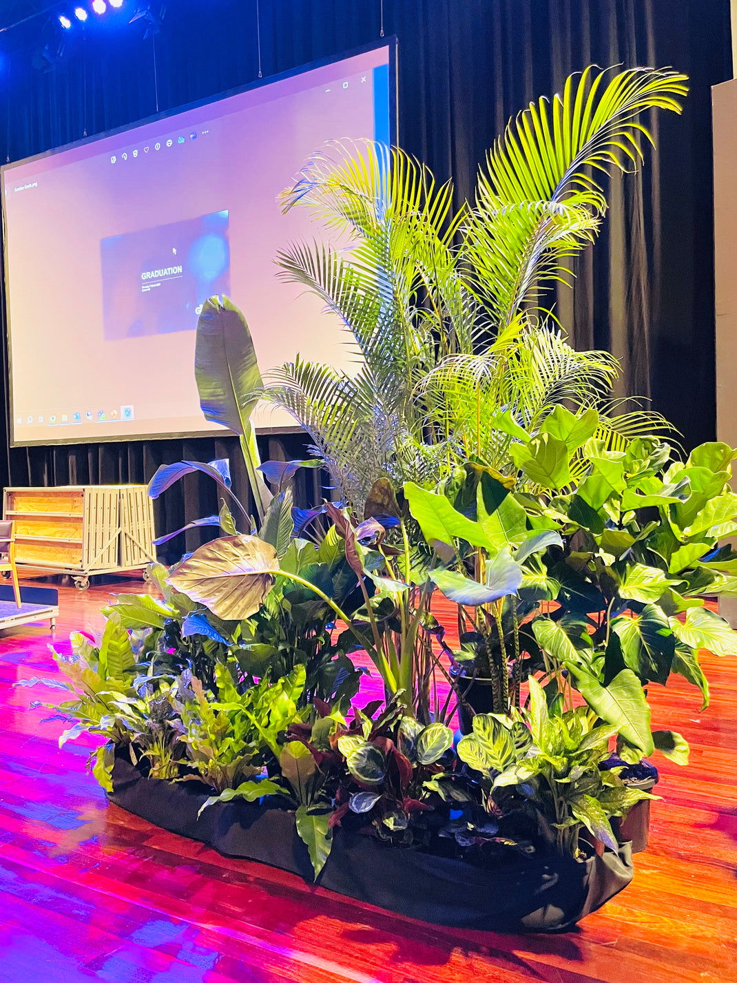 Event plant hire services – Plant.addicts.anonymous